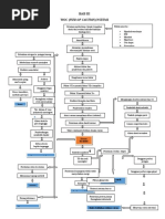 Pathway STEMI: Penyebab dan Dampak | PDF