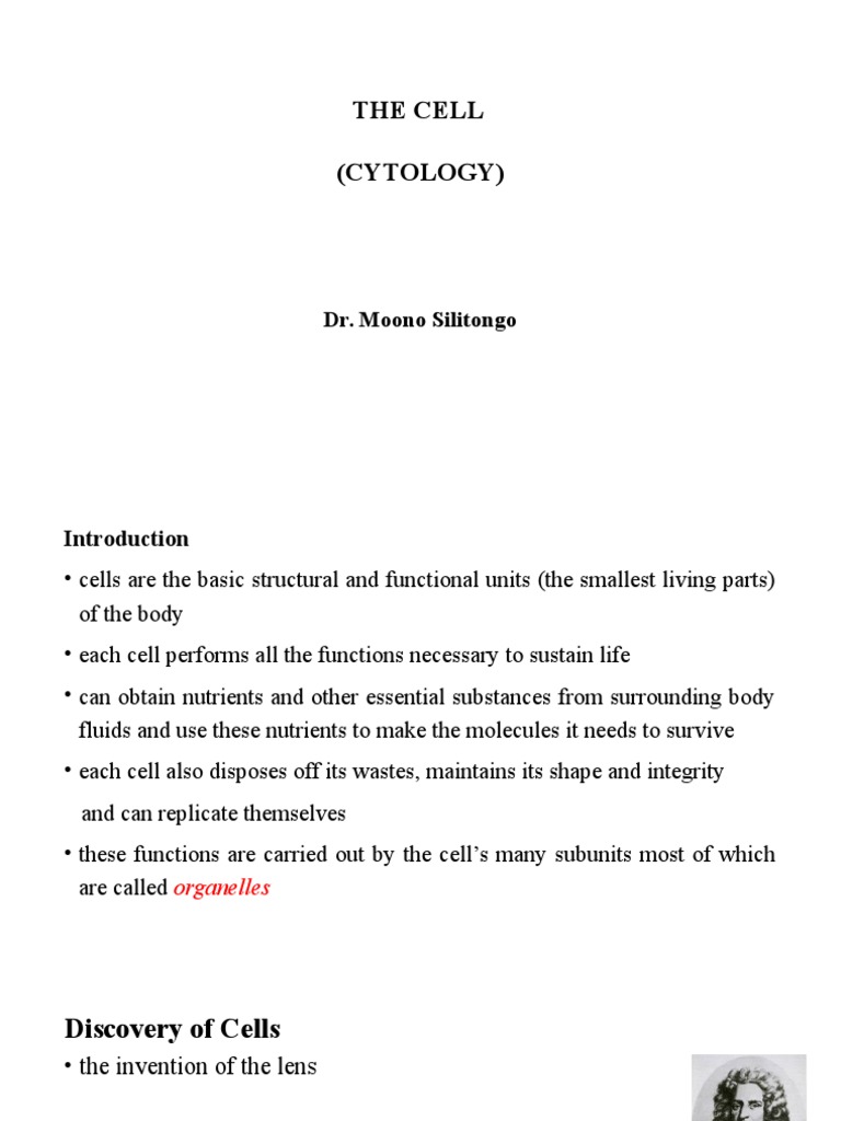 The Cell (Cytology) : Dr. Moono Silitongo | PDF | Endoplasmic Reticulum ...