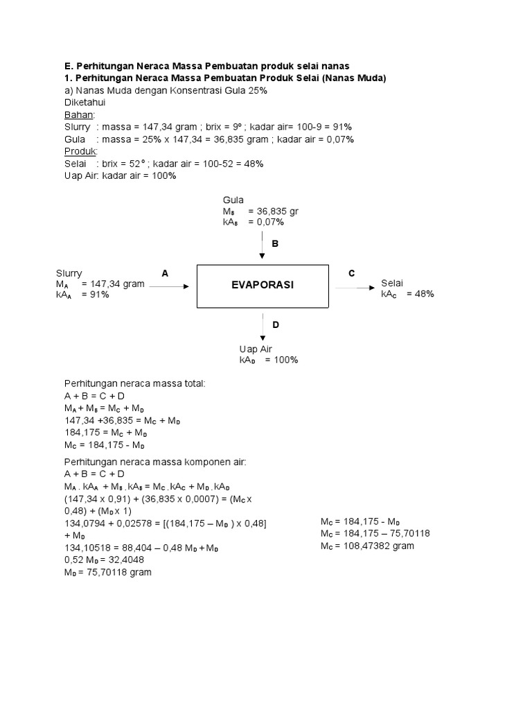 Neraca Massa 1 | PDF
