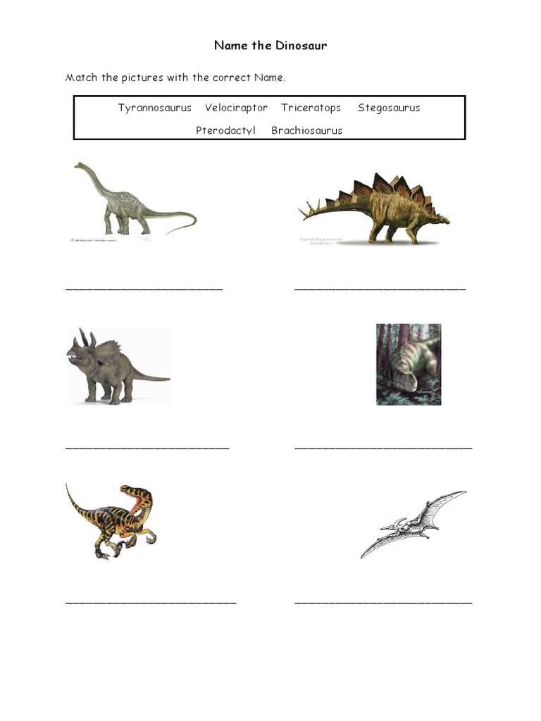 Name The Dinosaur | PDF