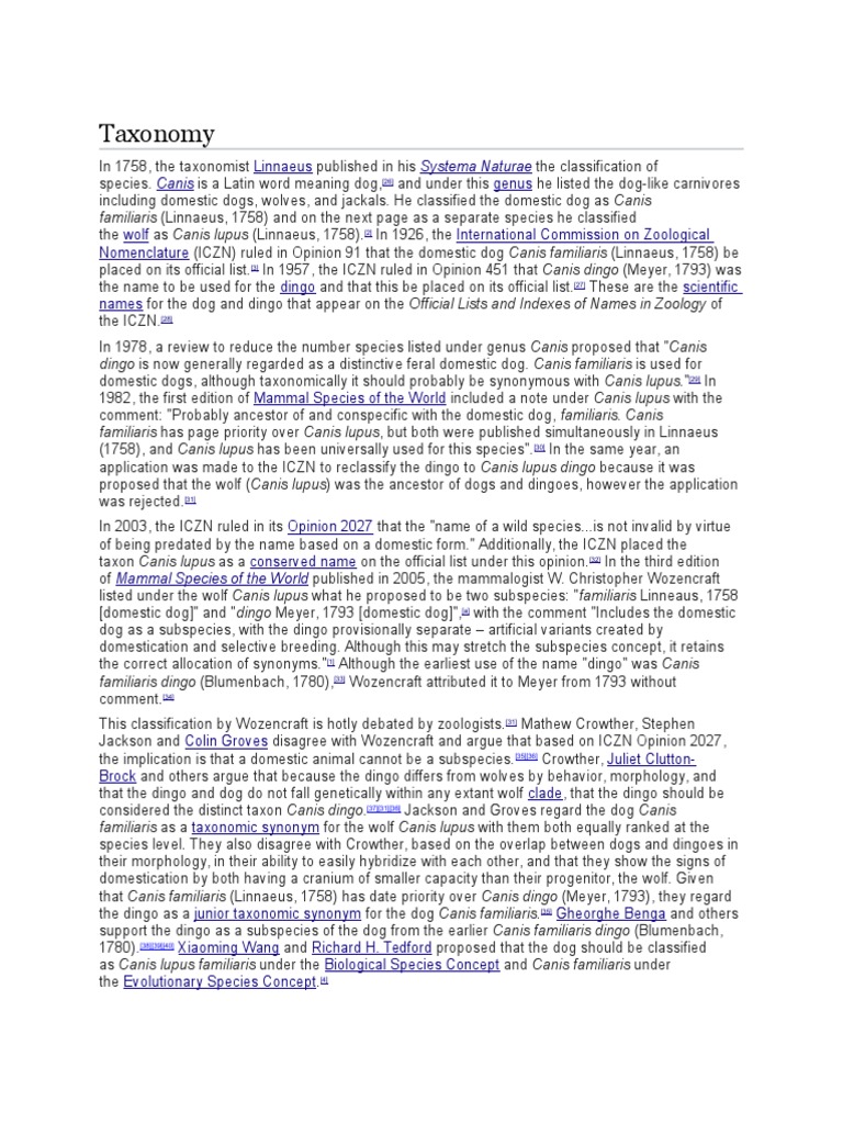 Dog Taxonomy | PDF | Canis | Taxonomy (Biology)