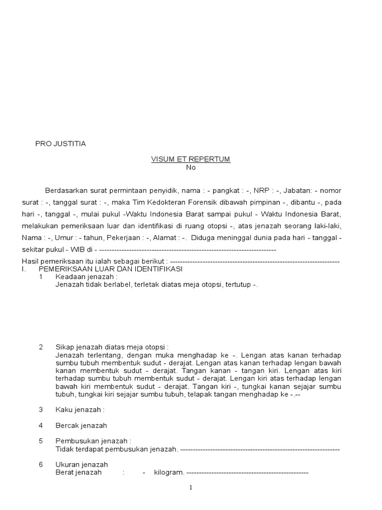 Template Visum | PDF