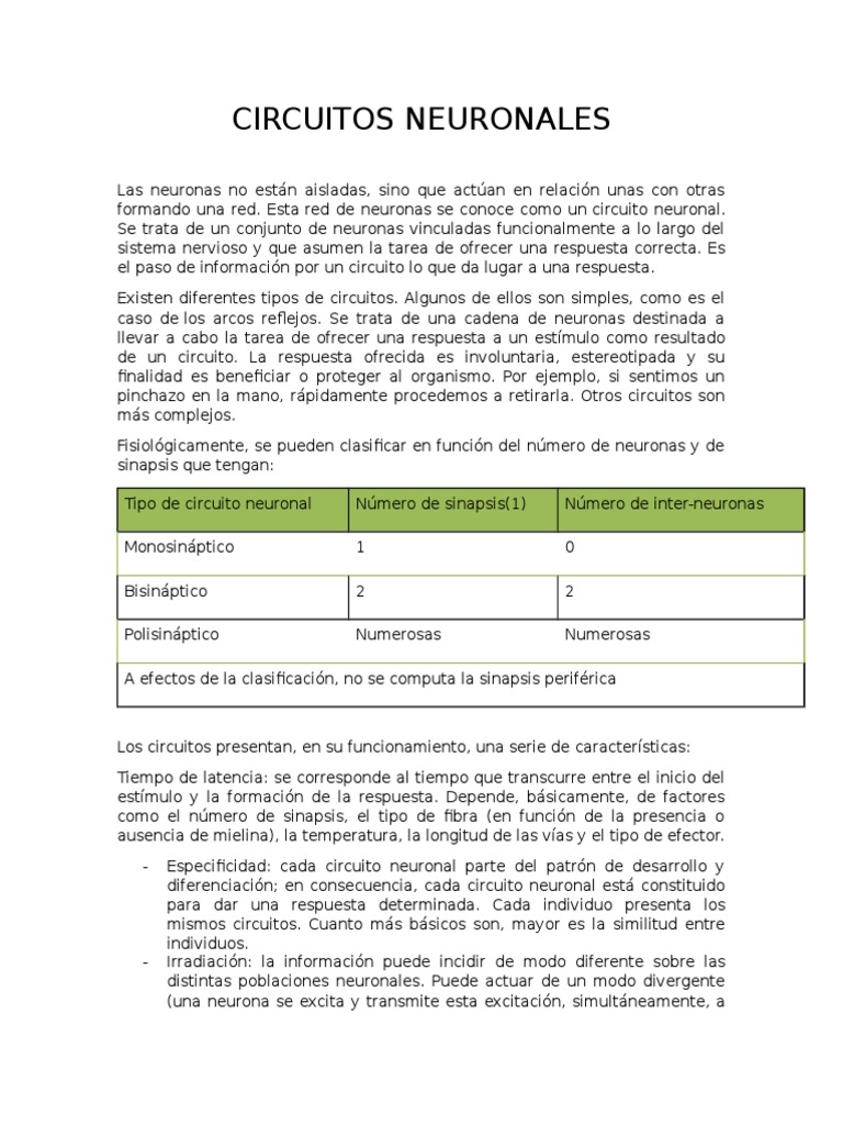 Circuitos Neuronales 1 | PDF | Red neuronal biológica | Neurona