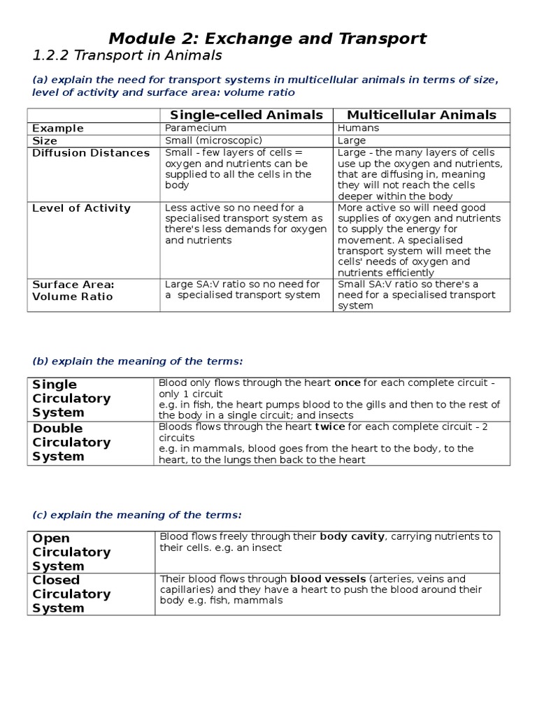 Transport in Animals Revision Notes | PDF | Atrium (Heart) | Ventricle ...