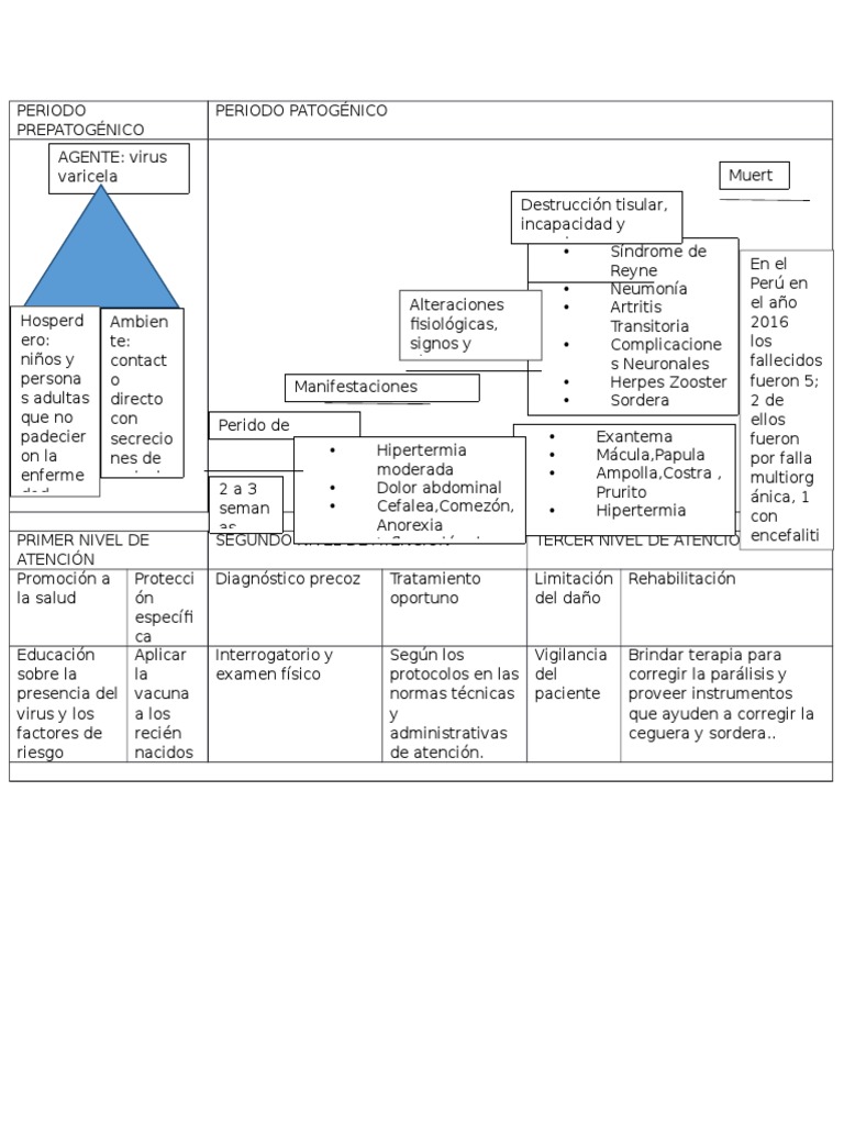Periodo Prepatogénico | Descargar gratis PDF | Salud pública | Inmunología