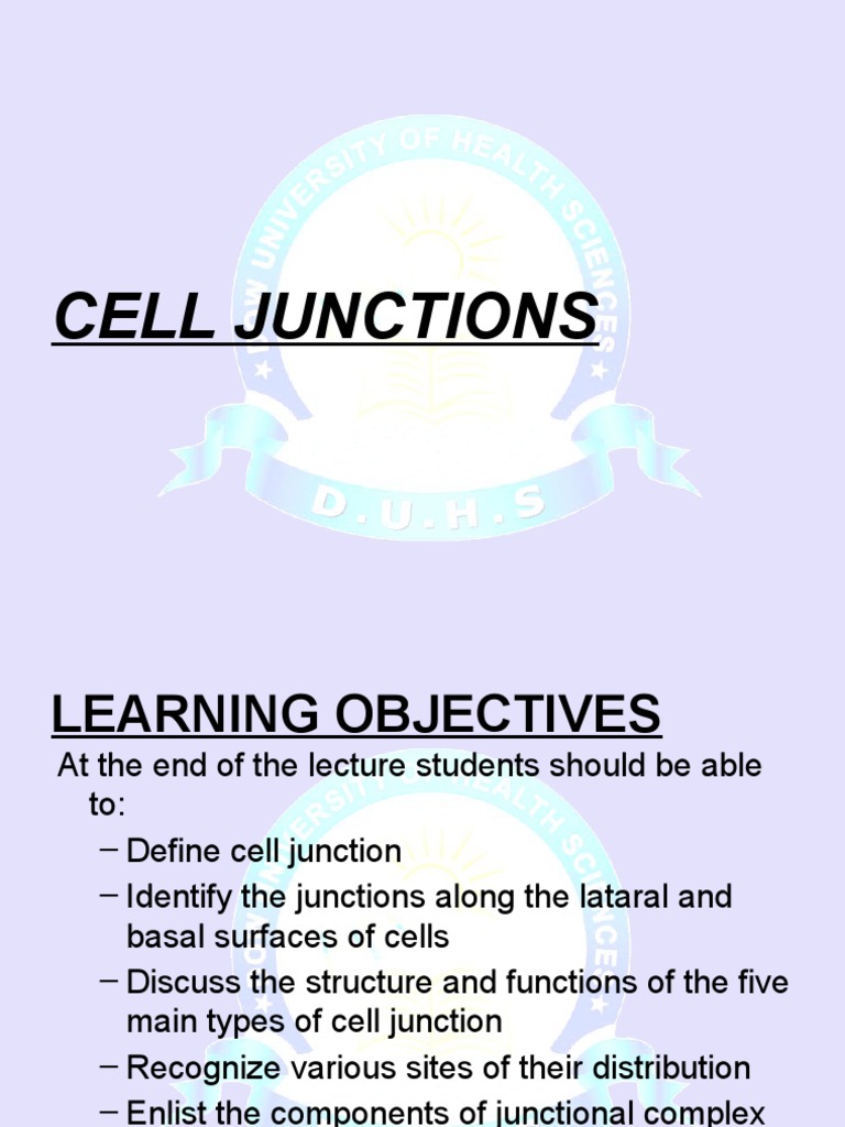 Learn Cell Junction Structures & Functions | PDF | Epithelium | Tissue ...
