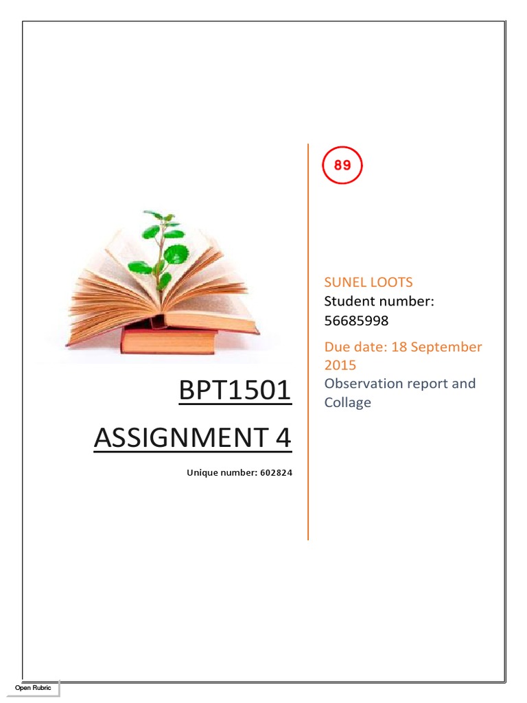 bpt1501 04 Mark089100-1 | PDF | Classroom | Teachers