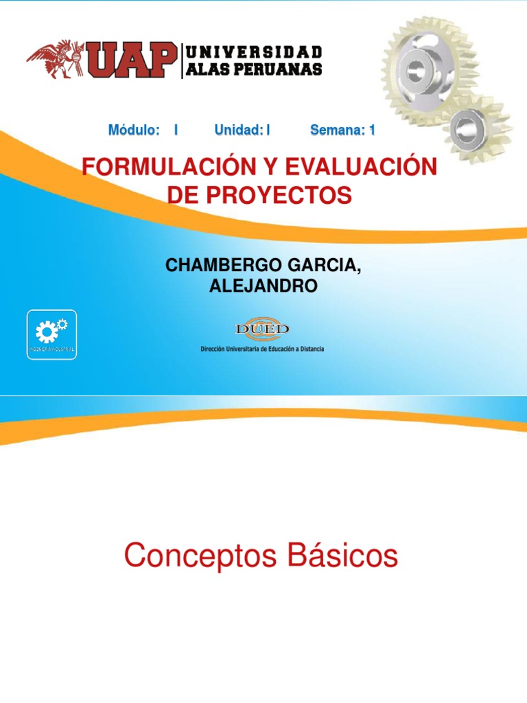 01-Formulacion y Evaluacion de Proyectos - Nociones Basicas | PDF | Planificación | Toma de ...