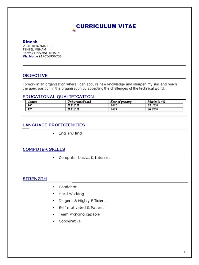Curriculum Vitae: Dinesh | PDF