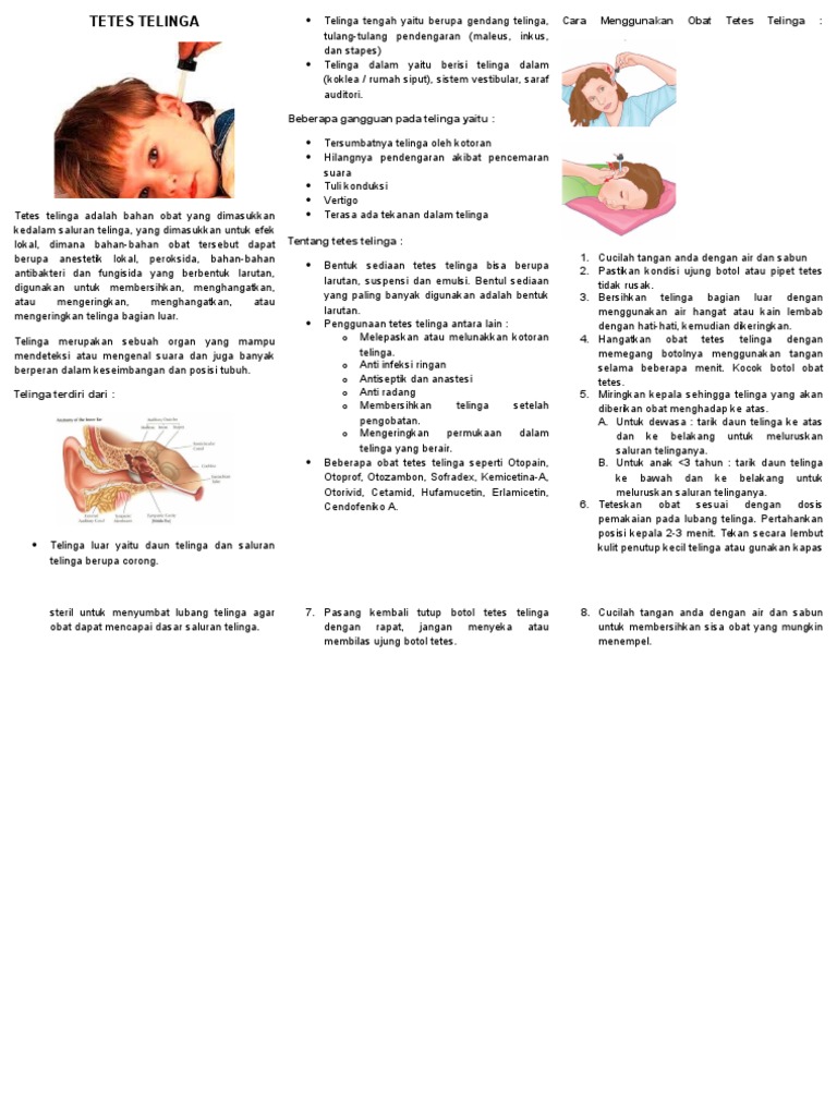 Leaflet Tetes Telinga | PDF