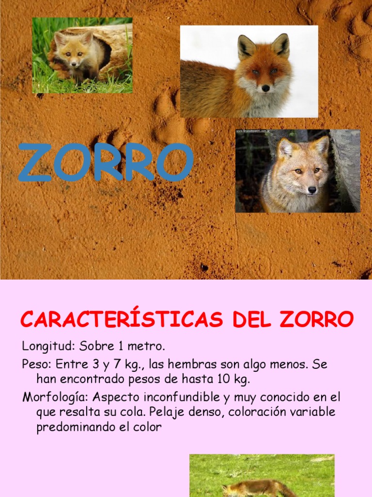 El Zorro | PDF