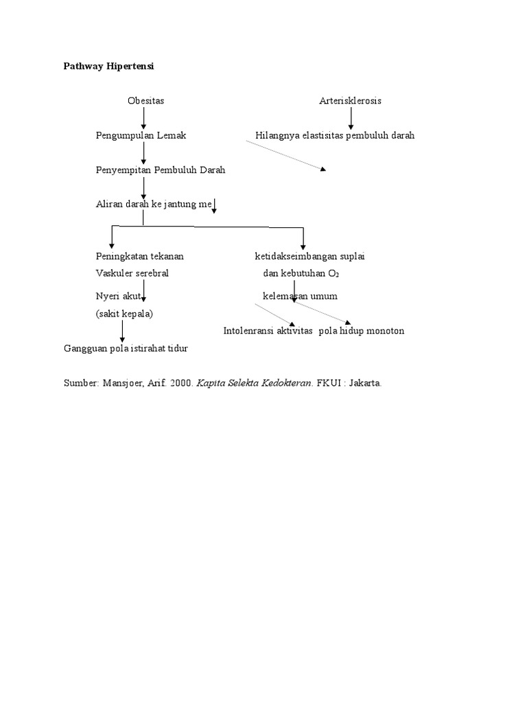 Pathway Hipertensi | PDF