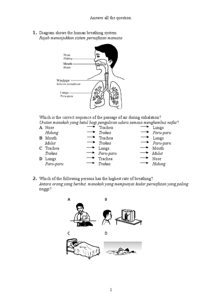 Science Year 4 | PDF