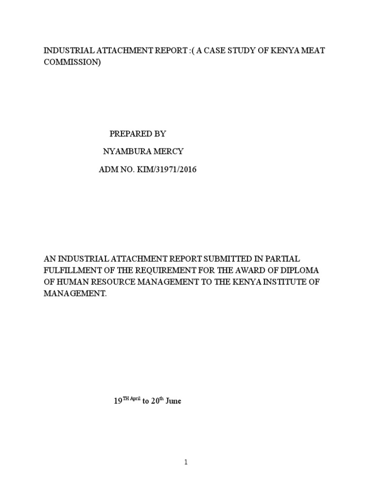 Industrial Attachment Report - Nyamz 2 (Repaired) | PDF | Human ...