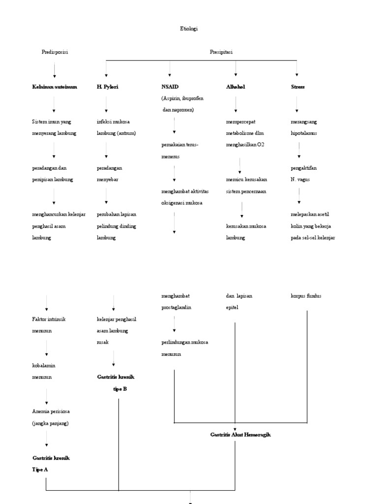 Pathway Gaster | PDF
