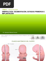 Estadios de Tanner | PDF | Etapas de la vida humana | Sexo