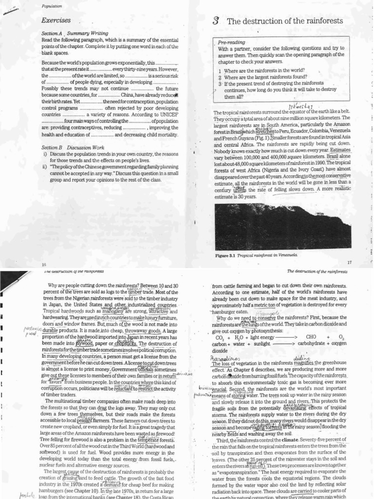 English Oral Exam Themes | PDF | Rainforest | Rain