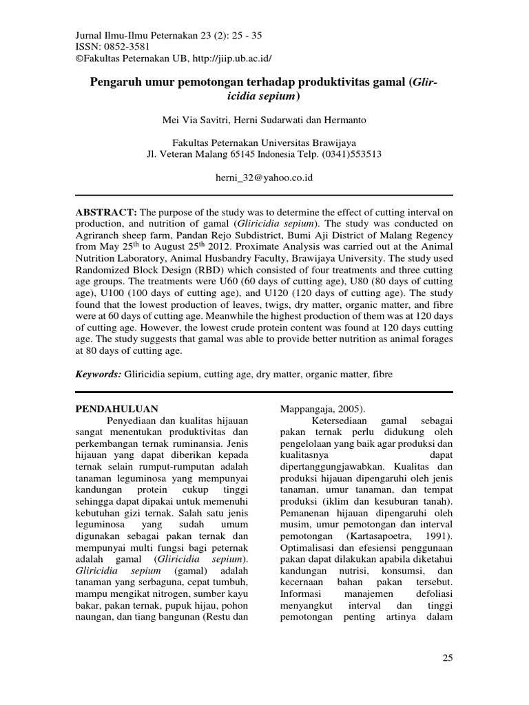 Gamal | PDF | Wellness