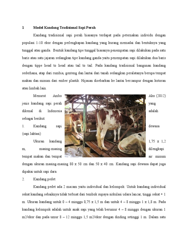 Model Kandang Tradisional Sapi Perah | PDF | Griya & Taman