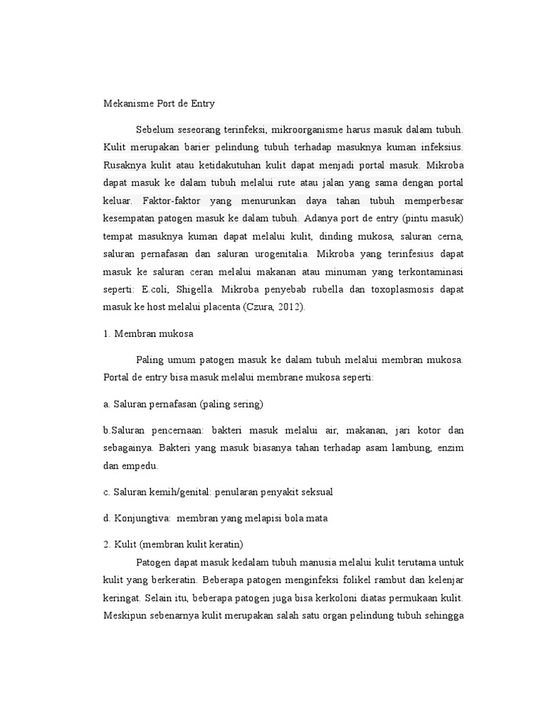 Mekanisme Port de Entry | PDF