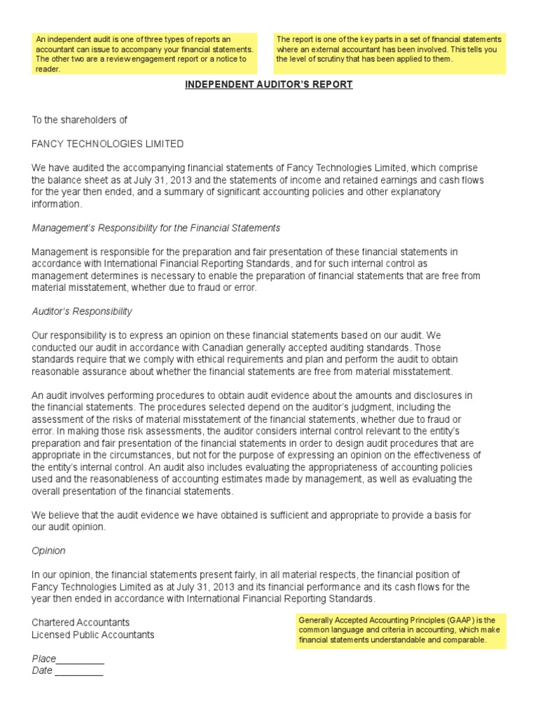 Sample Auditors Report | Audit | Financial Audit