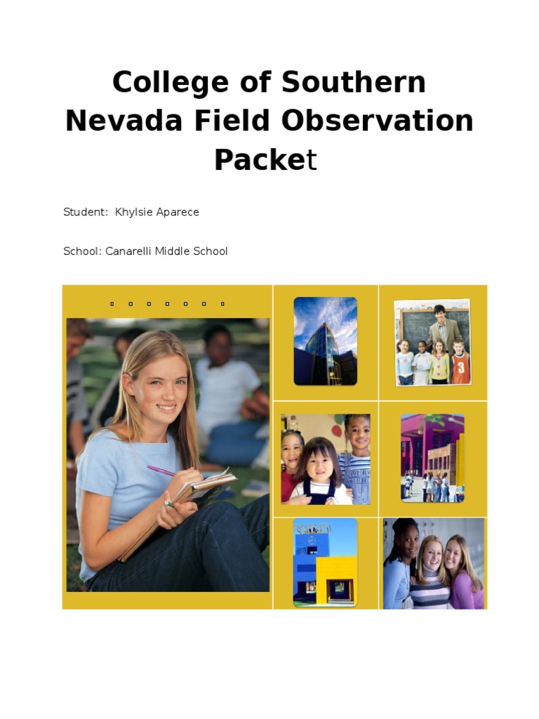 Field Observation Assignment | PDF | Classroom | Homework