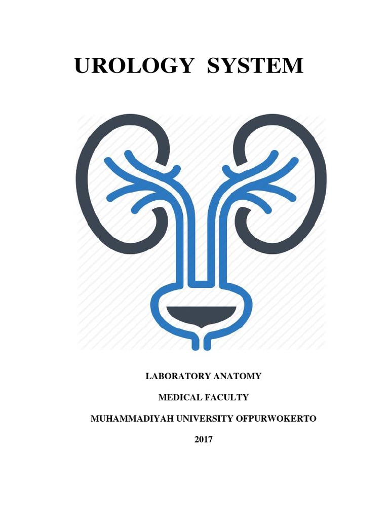 Modul Urology | PDF | Urinary Tract Infection | Urinary System