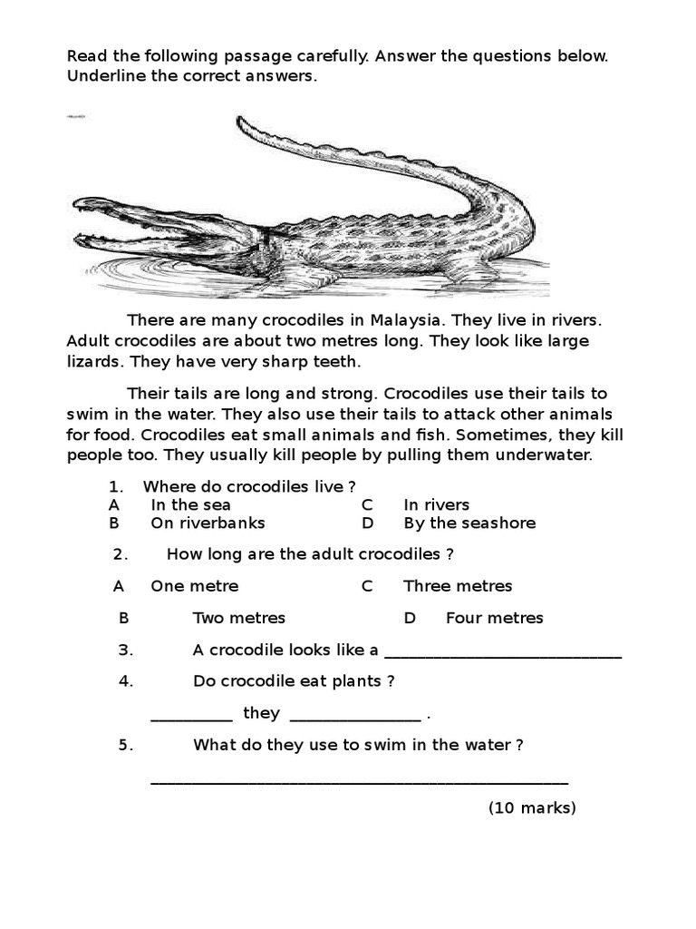 English Unit 4 | PDF | Crocodile | Elephant