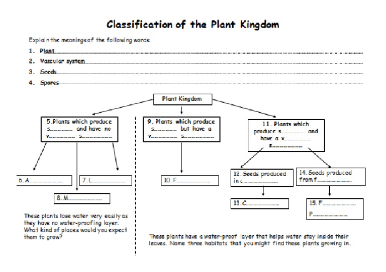 Plant Classification Worksheet