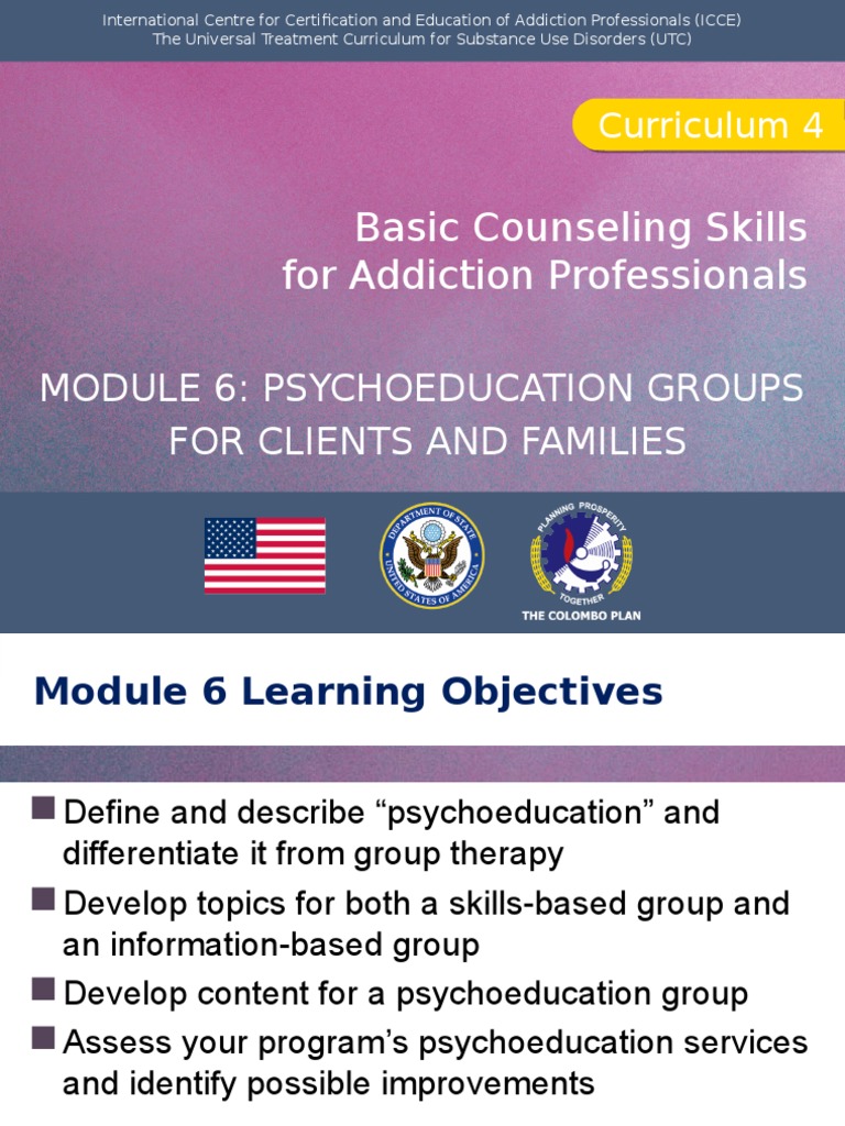 Basic Counseling Skills For Addiction Professionals: Module 6 ...
