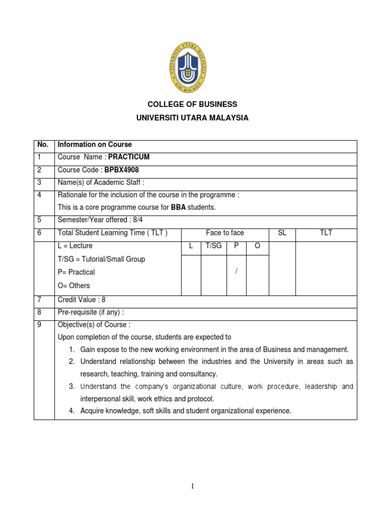 Practicum Syllabus Bba PDF | PDF | Learning | Marketing