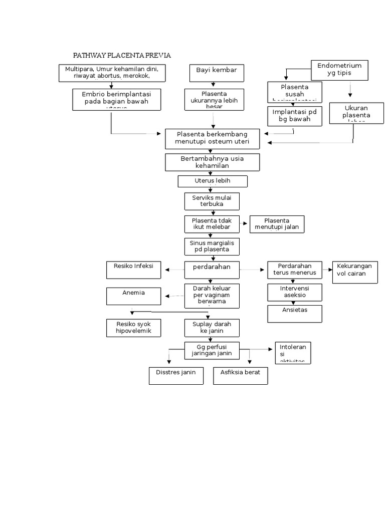 Pathway Placenta Previa | PDF