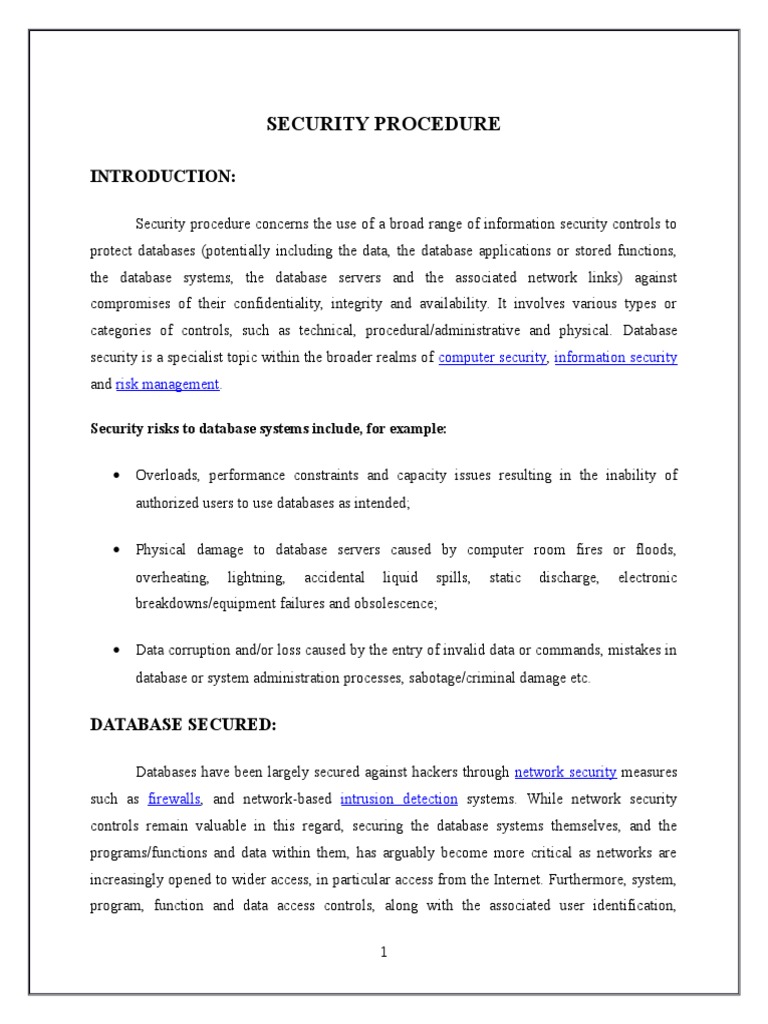Security Procedure | PDF | Computer Security | Security