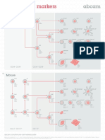 CD Markers Overview for Hematology | PDF