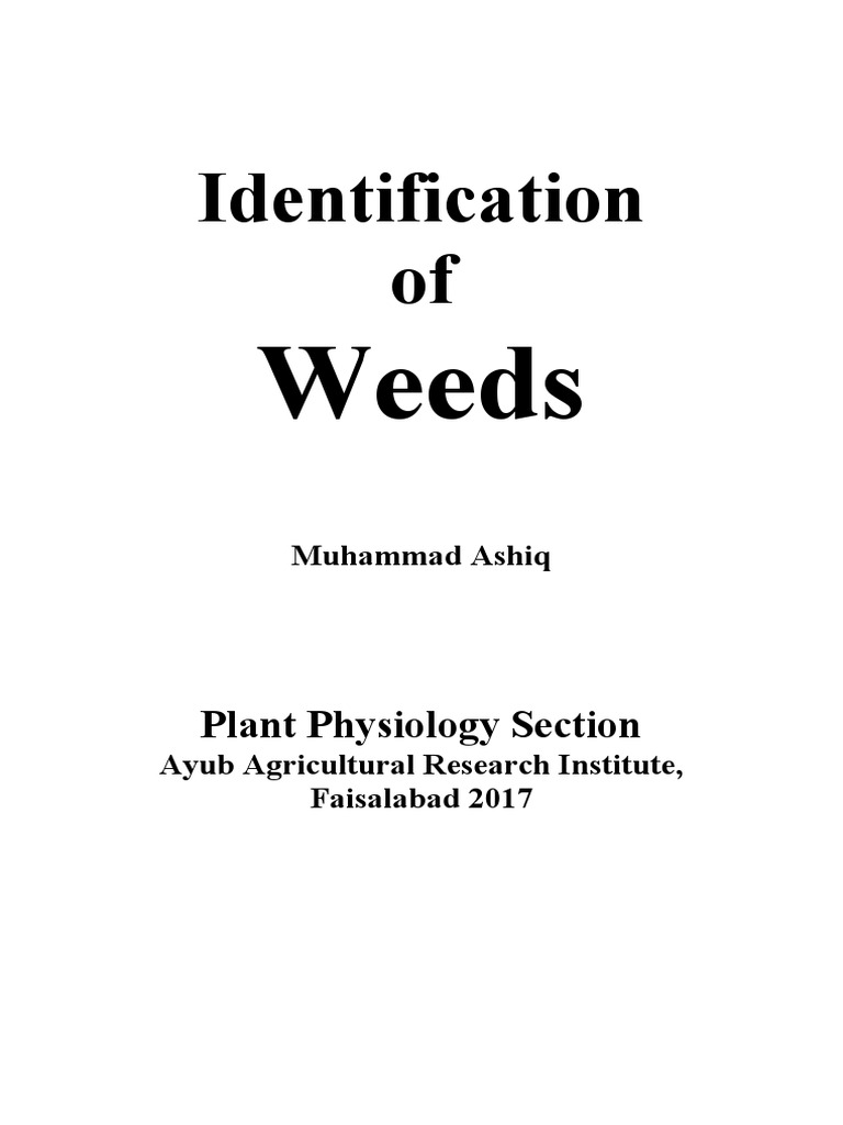 Weed Identification 2017 | PDF | Weed | Domesticated Plants