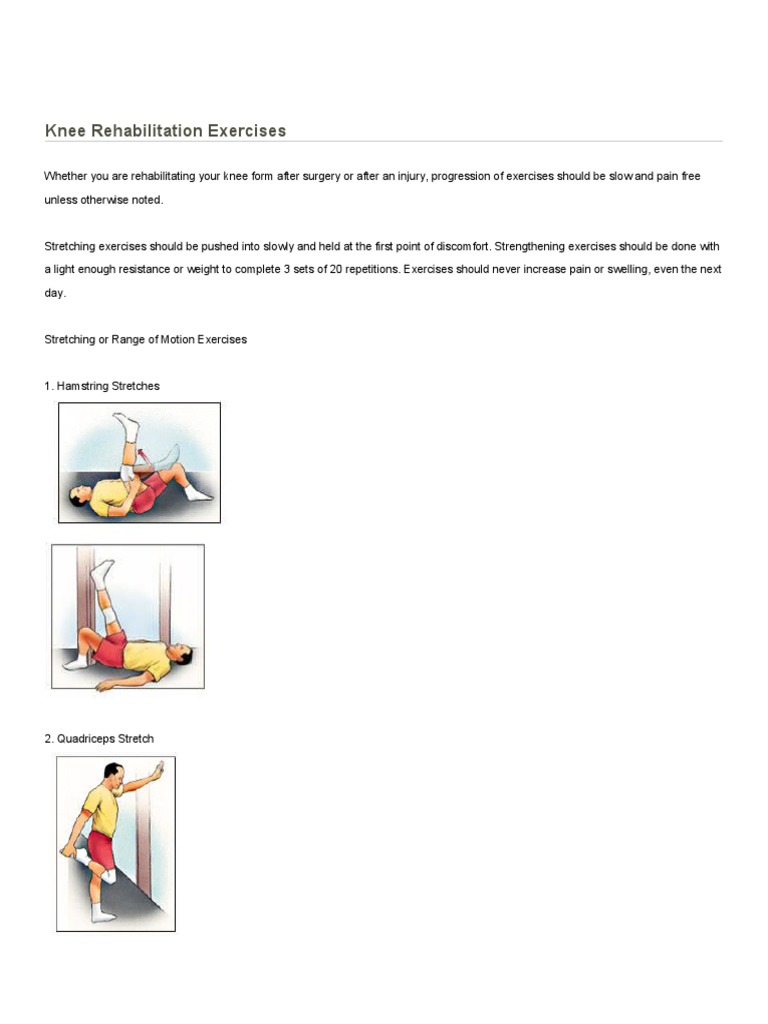 Knee Rehabilitation Exercise Guide | PDF | Knee | Anatomical Terms Of ...