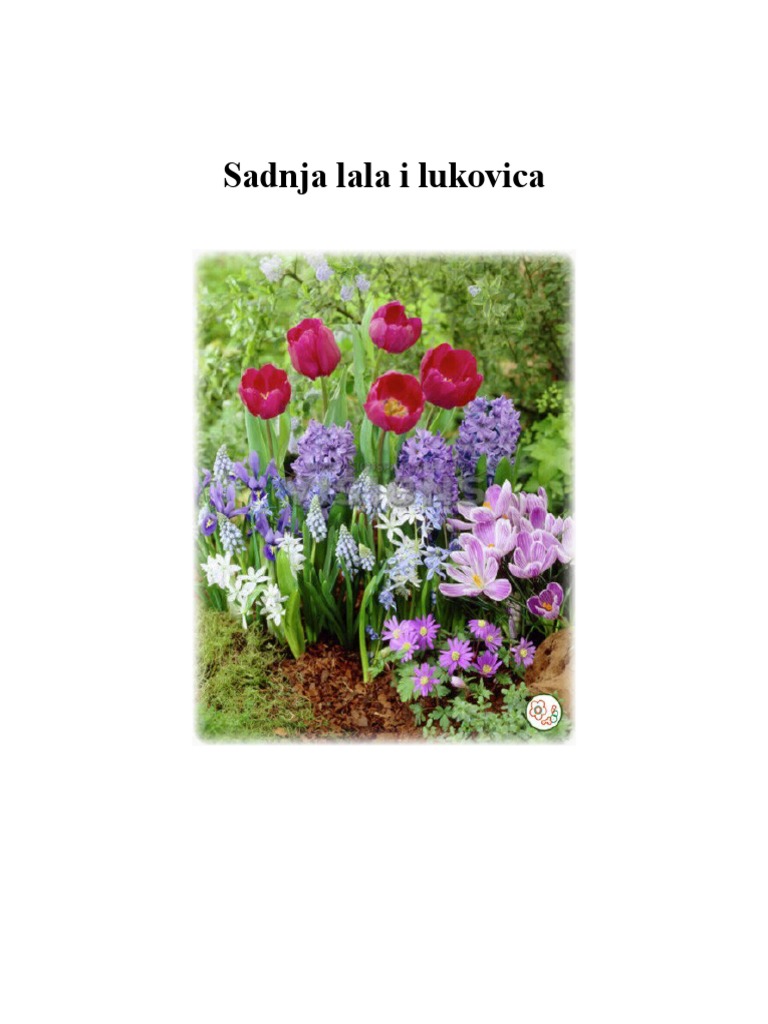 Sadnja Lala I Lukovica | PDF
