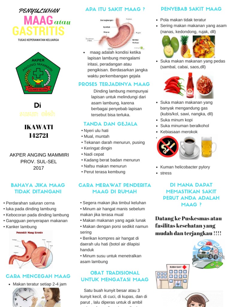 Gastritis Leaflet | PDF