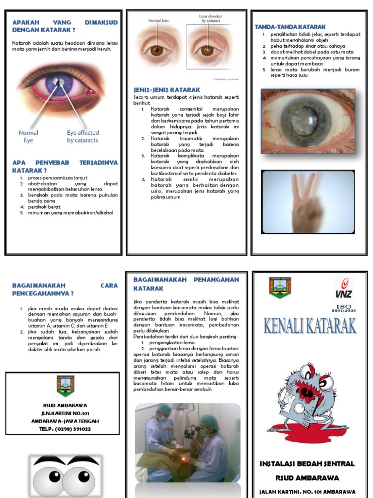 191683544-Leaflet-Katarak.pdf