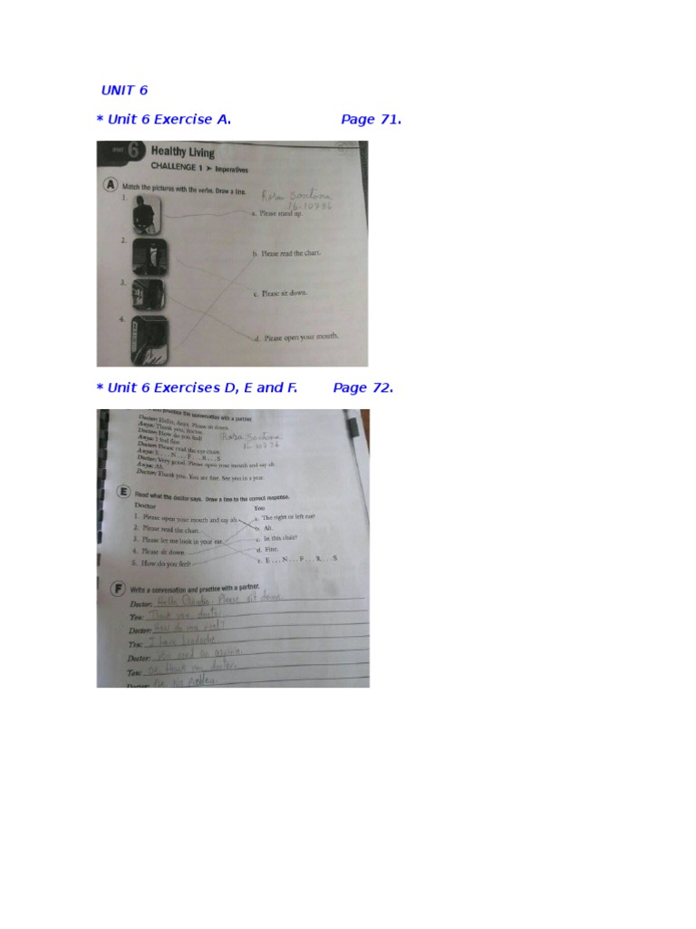 Unit 6 Exercises Overview | PDF