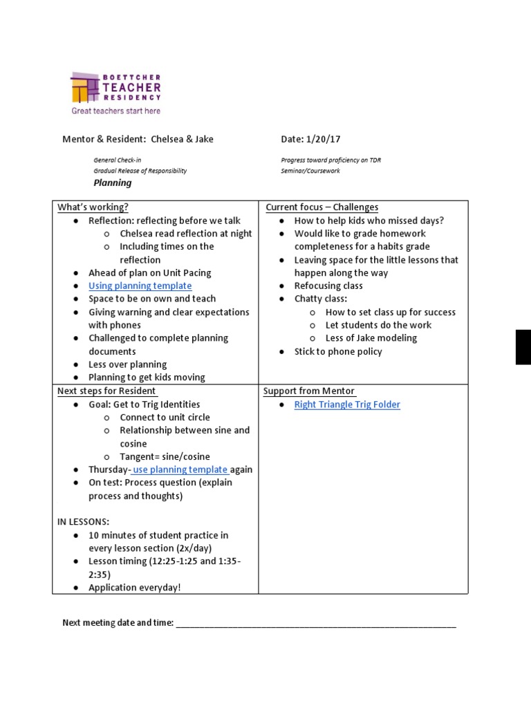 Mentor Check-in: Chelsea & Jake's Progress | PDF | Career & Growth