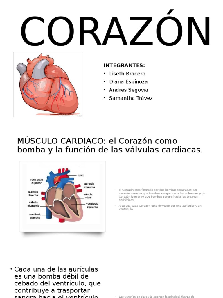 CORAZÓN2-2-1.pptx | Corazón | Ventrículo (corazón)