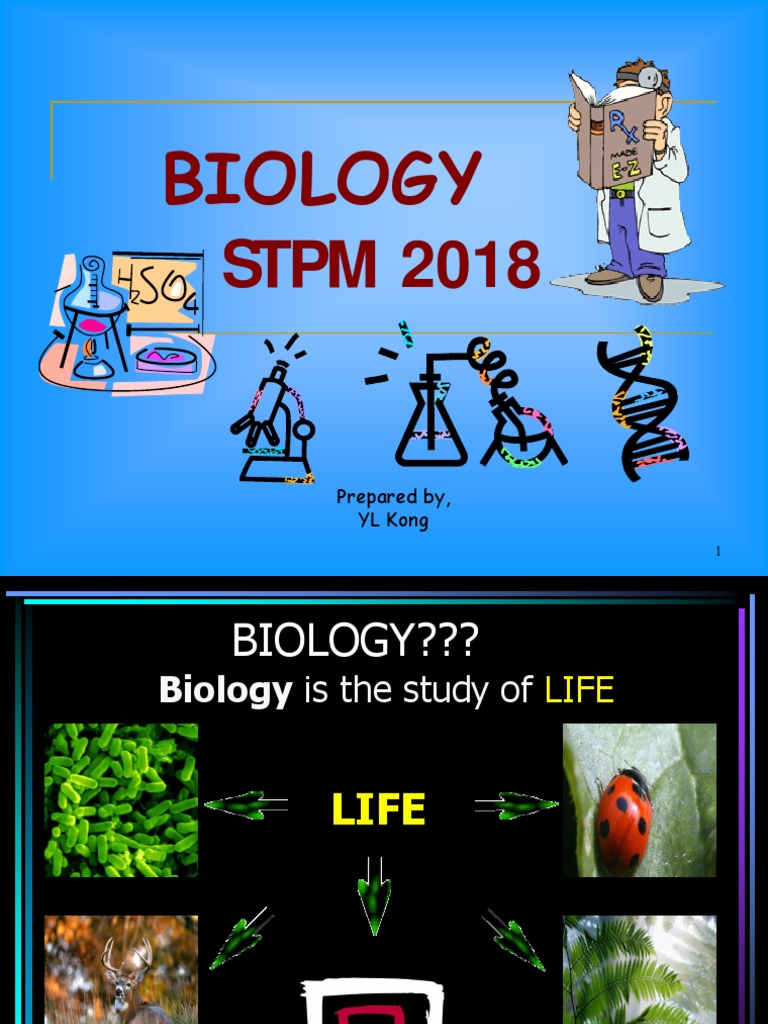 Biology STPM 2017 - 18 | PDF | Respiratory System | Exhalation