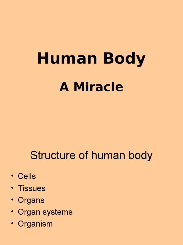 Human Body | PDF