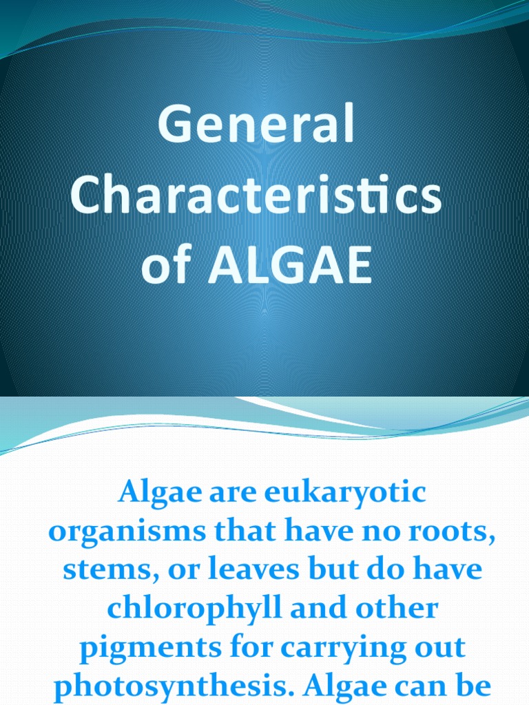 General Characteristics of Algae | PDF | Algae | Organisms