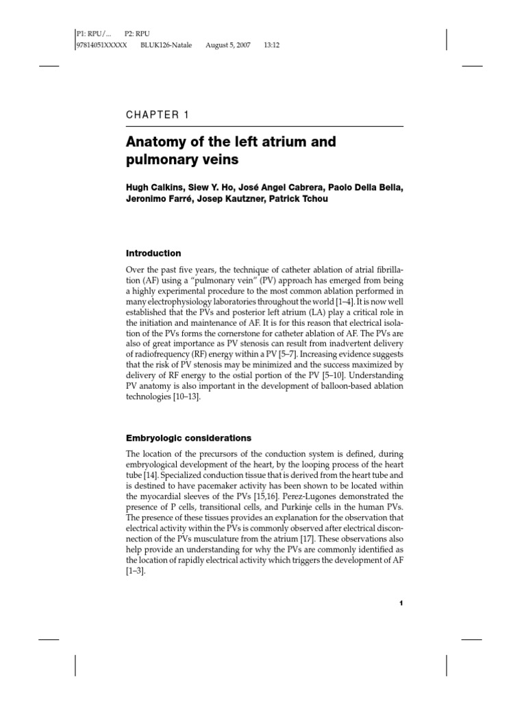 Anatomy of The Left Atrium and Pulmonary Veins | PDF | Atrium (Heart ...
