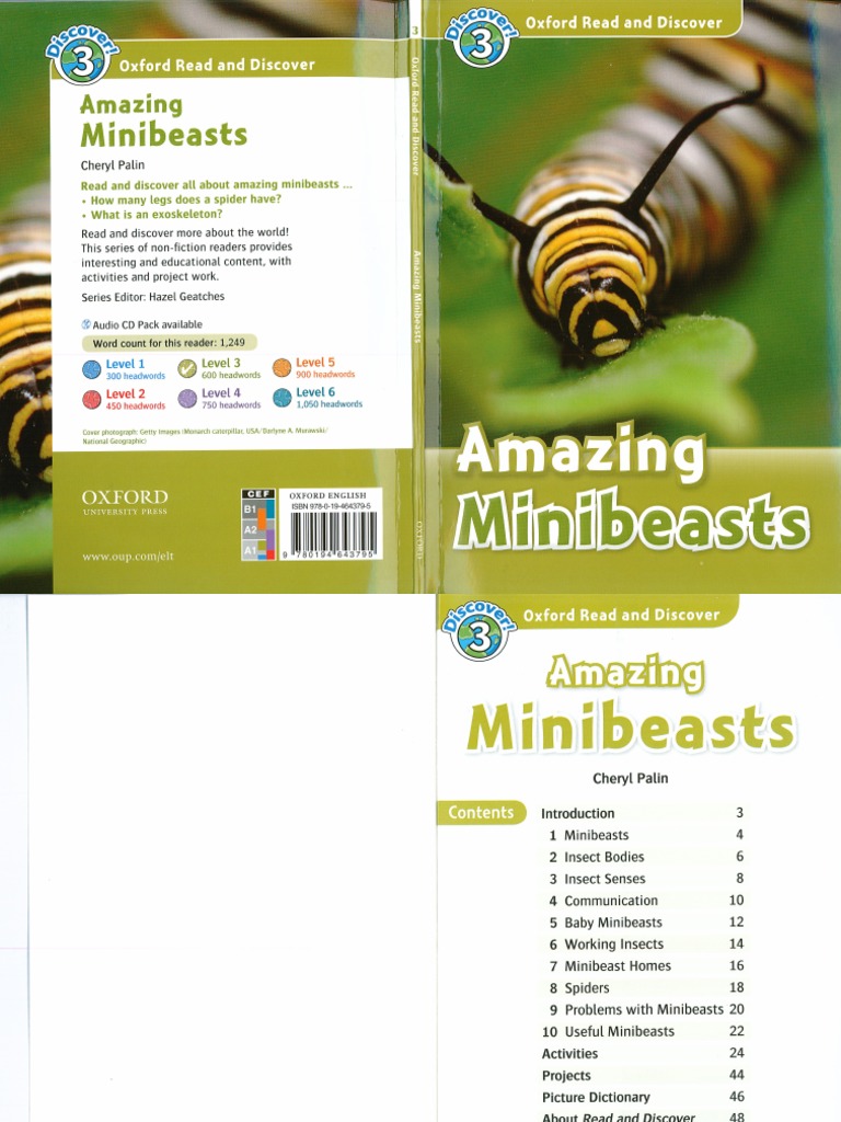 Amazing Minibeasts | PDF