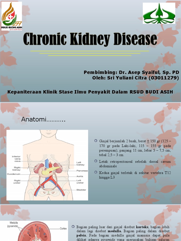 Bismillah PPT CKD Fix | PDF