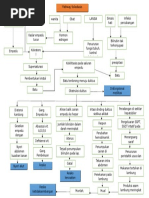 Pathway Kolelitiasis | PDF