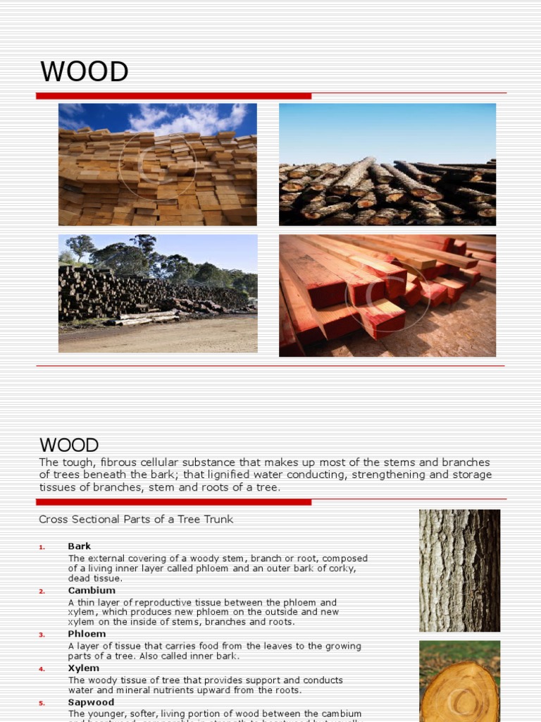 Building Materials (ALE Review) | PDF | Wood | Lumber